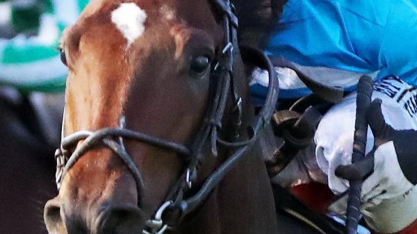 Smokin' T | America's Best Racing