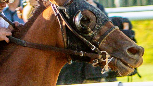Sir Winston | America's Best Racing