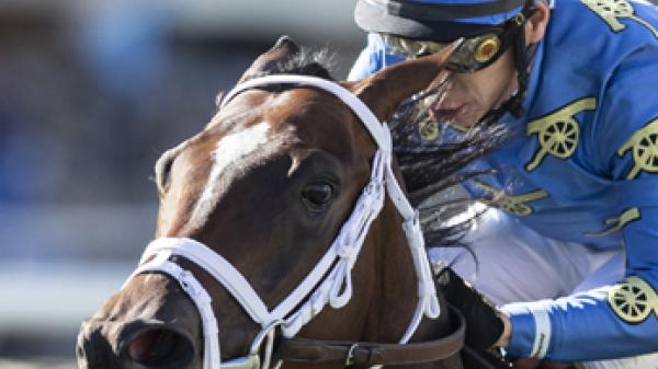 Smooth Like Strait | America's Best Racing