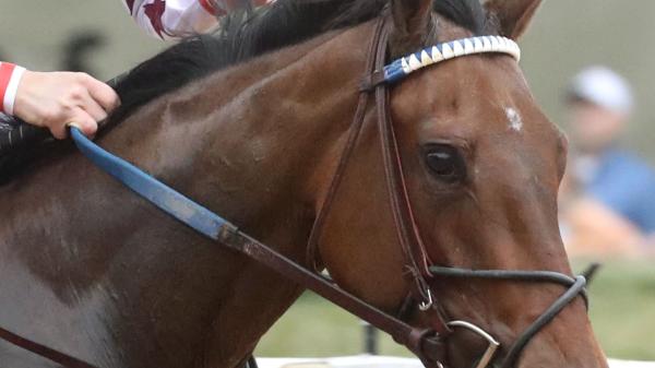 Thorpedo Anna | America's Best Racing