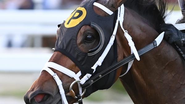 Temple | America's Best Racing