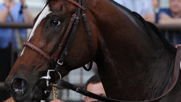 Tonalist | America's Best Racing