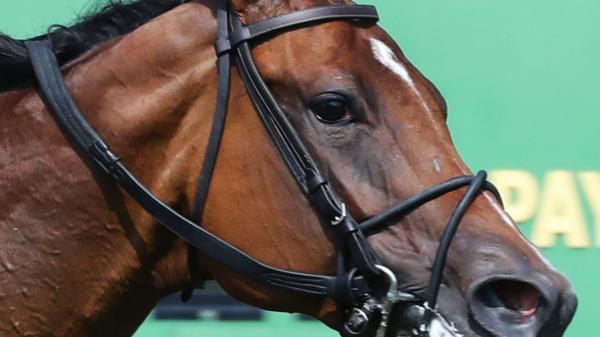 Yes It's Ginger | America's Best Racing