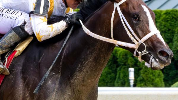 Ferocious | America's Best Racing