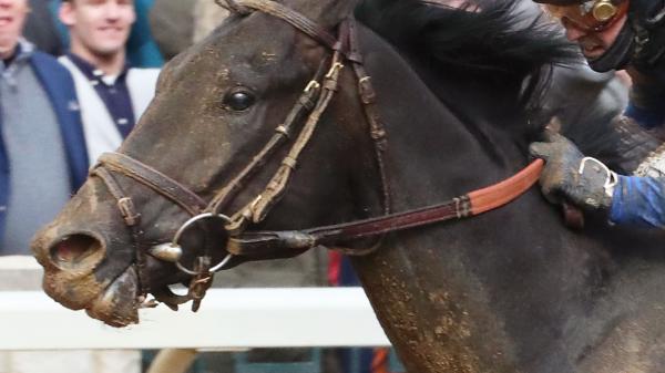 Zandon | America's Best Racing
