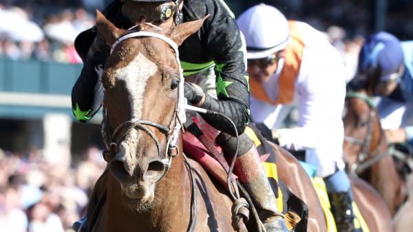 Zeitlos | America's Best Racing