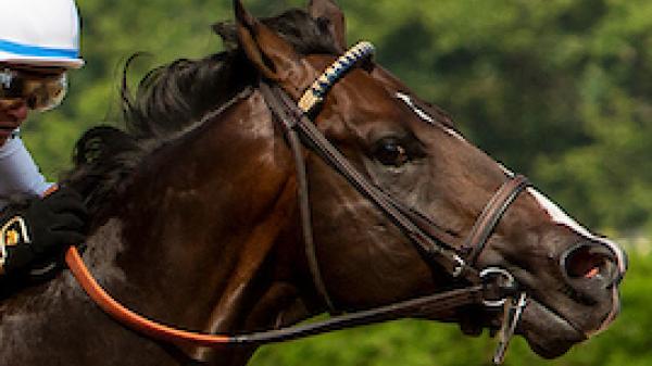 Mullikin | America's Best Racing