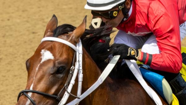 Alva Starr | America's Best Racing