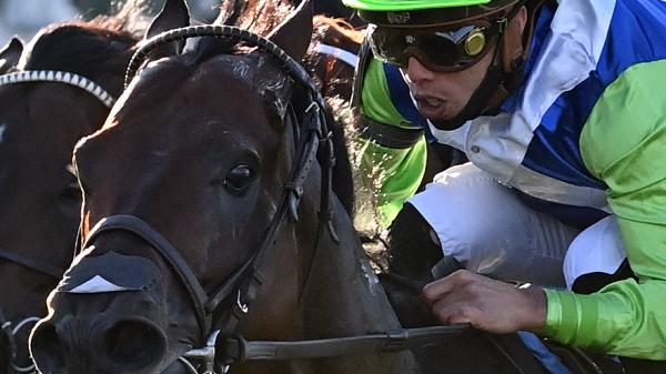 Arrest Me Red | America's Best Racing