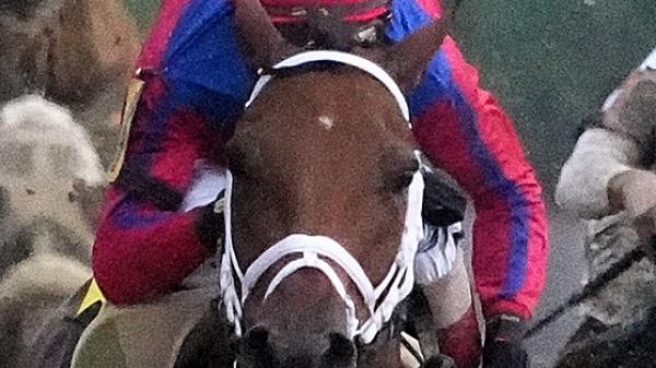 Awesome Aaron | America's Best Racing