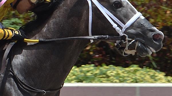 Awesome Gerry | America's Best Racing