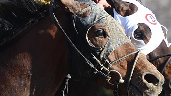 Backsideofthemoon | America's Best Racing