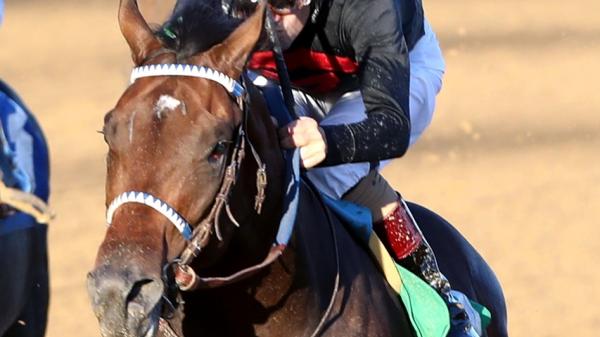 Render Judgment | America's Best Racing