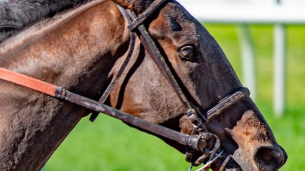 Baseline Beater | America's Best Racing