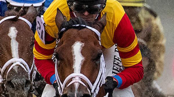 Bodexpress | America's Best Racing