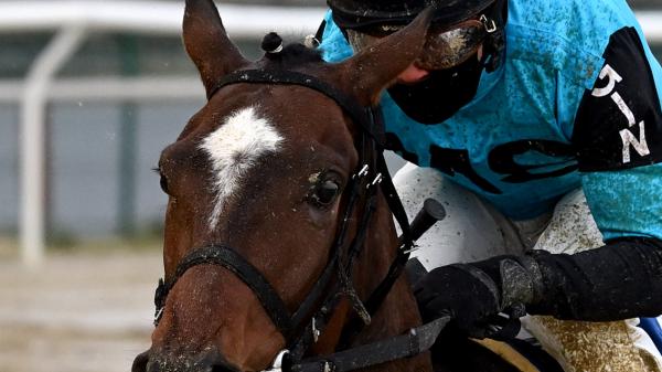 Brooklyn Strong | America's Best Racing