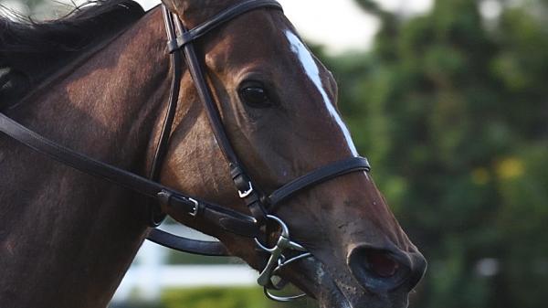 Bye Bye | America's Best Racing