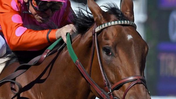 Caledonia Road | America's Best Racing