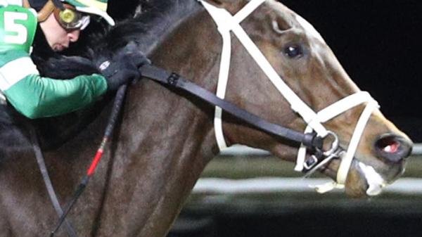 California Burrito | America's Best Racing