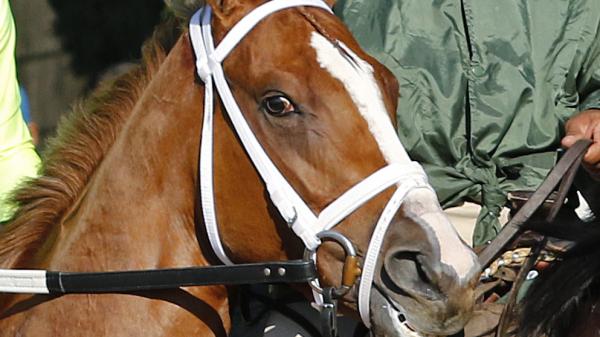 Towhead | America's Best Racing