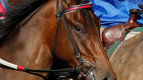 Xigera | America's Best Racing