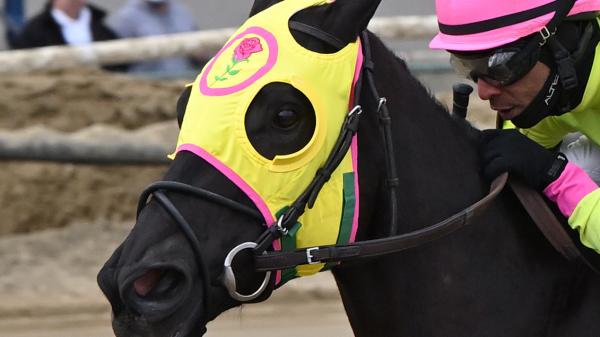 Chateau | America's Best Racing