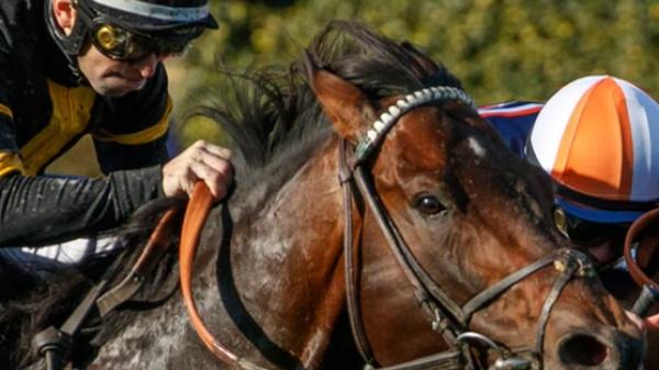 Chewing Gum | America's Best Racing