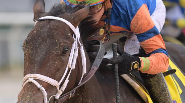 Chocolate Gelato | America's Best Racing