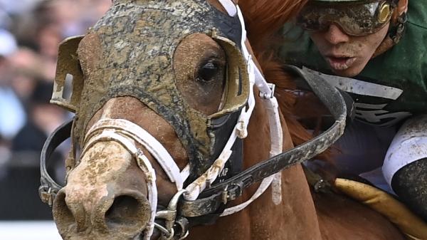 Crupi | America's Best Racing