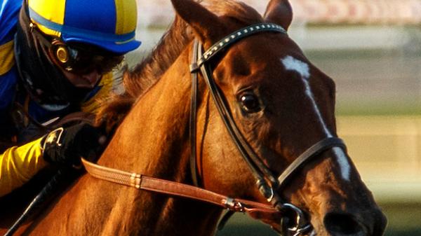 Cupid's Claws | America's Best Racing