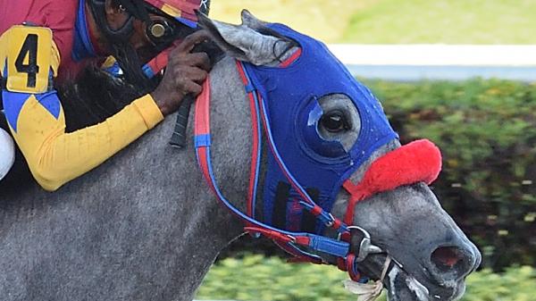 Dream Marie | America's Best Racing