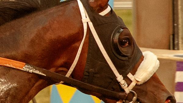 Dr. Schivel | America's Best Racing