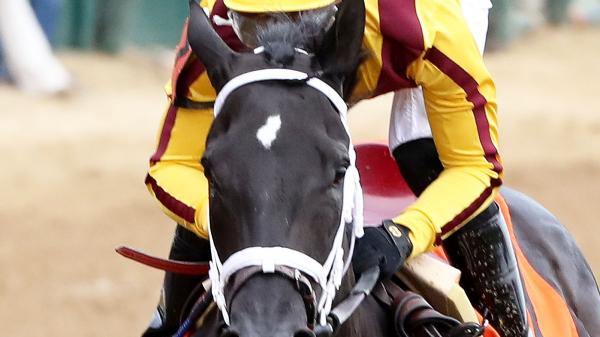 Emery | America's Best Racing