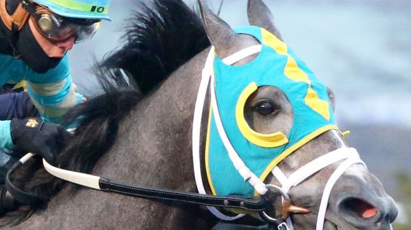 Field Pass | America's Best Racing