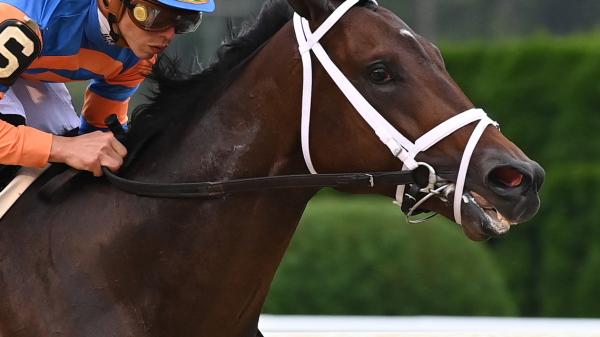 Fierceness | America's Best Racing