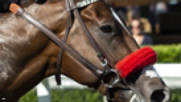 Fore Left | America's Best Racing