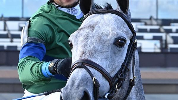 Implicated | America's Best Racing