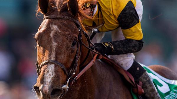 Kanthaka | America's Best Racing