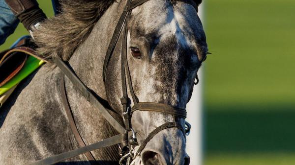 King Russell | America's Best Racing