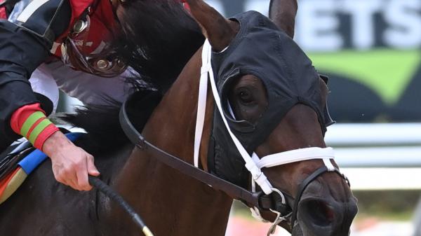 Lady Rocket | America's Best Racing