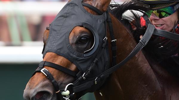 Leinster | America's Best Racing