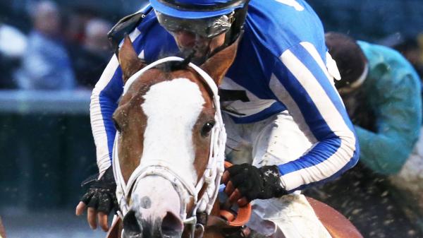 Mailman Money | America's Best Racing