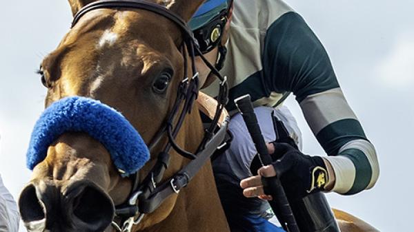 Maysam | America's Best Racing