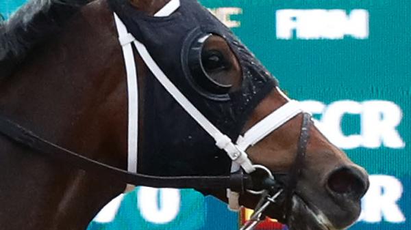 Mena | America's Best Racing