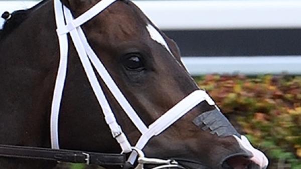 Merit | America's Best Racing