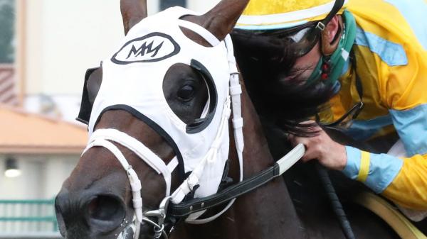 Mo Mosa | America's Best Racing