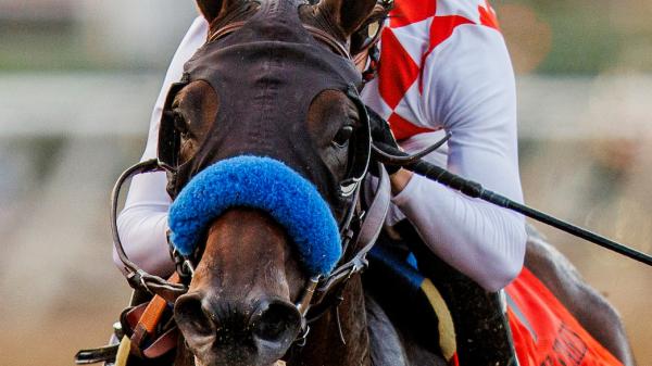 Mr Fisk | America's Best Racing