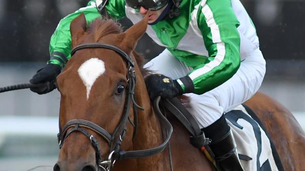 Mr. Buff | America's Best Racing