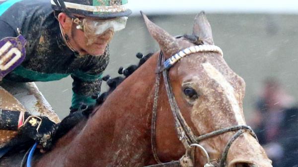 Mystik Dan | America's Best Racing