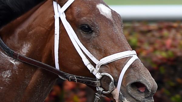 Patch | America's Best Racing